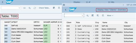 Die Top 20 Sap It Basis Tabellen In Sap S 4hana Xiting