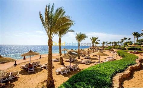 Égypte Combiné Caire Sharm El Cheikh Hôtel 5 Ou Sharm Direct A Partir
