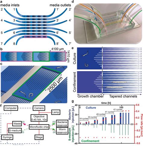 Details Of The Microfluidic Platform For Automated High Content Download Scientific Diagram