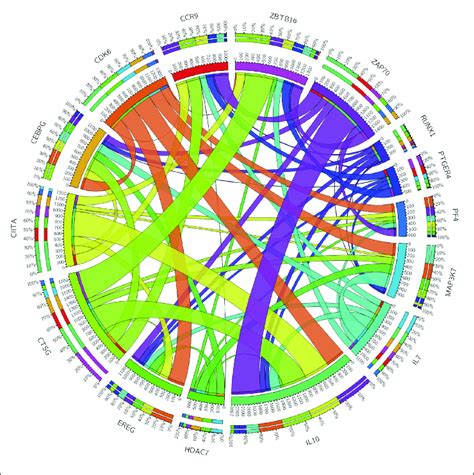 Circos Plot Showing The Correlations Between The 15 Immune Genes