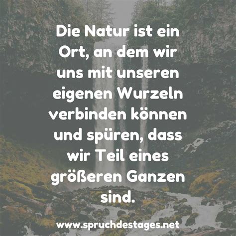 Spruch Des Tages Vom 29 01 2024 Spruch Des Tages