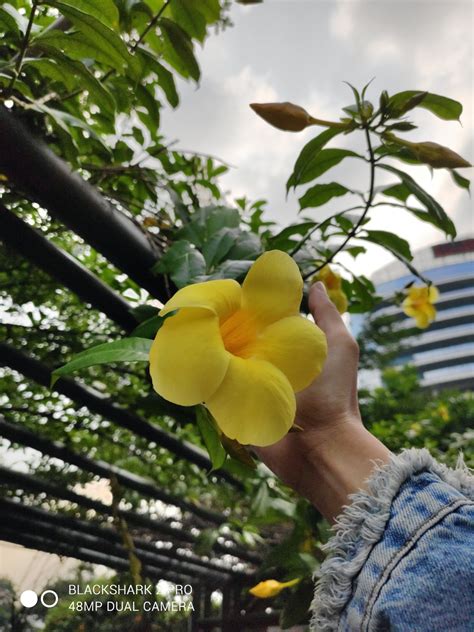 Nyaris Mirip Ini Cara Cek Xiaomi Palsu Atau Tidak Bukareview