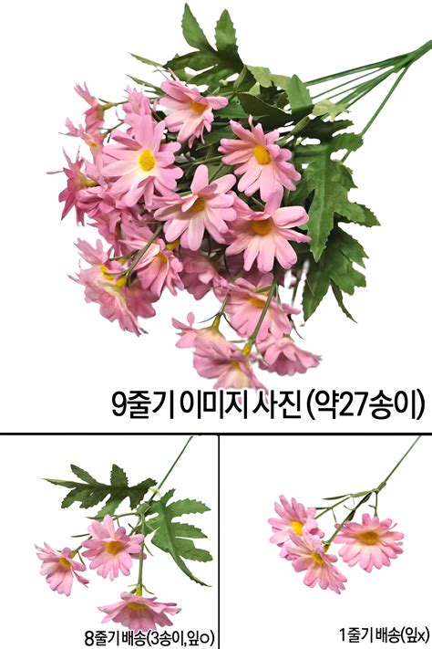 상품 상세보기 구절초조화 구절초부쉬12조화파랑 파스텔