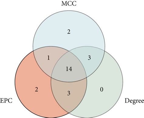 Construction Of Mirna Mrna Interaction Network And Identification Of