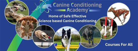Canine Massage Therapy Canine Massage Therapy Centre