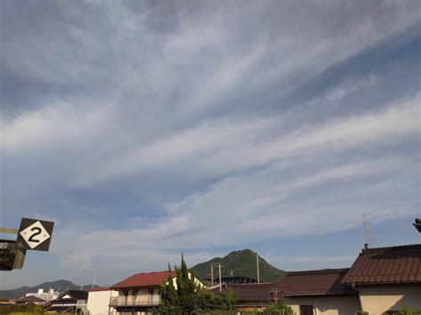 薄雲が広がっていますが陽もしっかりと照 山口県山口市 美味しいカワハギ ウェザーニュース