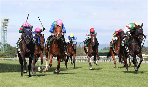 【新潟記念】マイネルファンロン豪脚v 前走14着から驚きの逆襲劇で重賞初勝利 競馬ニュース
