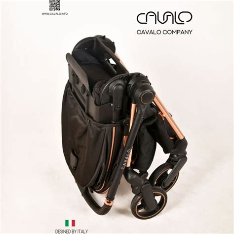 سرویس کالسکه ۲ تکه کاوالو Cavalo چمدانی مشکی ـ بدنه طلایی