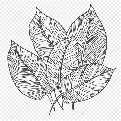 熱帶樹葉的線條圖著色頁可打印圖像輪廓草圖 向量線描eps圖案素材免費下載，可愛卡通圖片，尺寸4267 × 4267px Lovepik