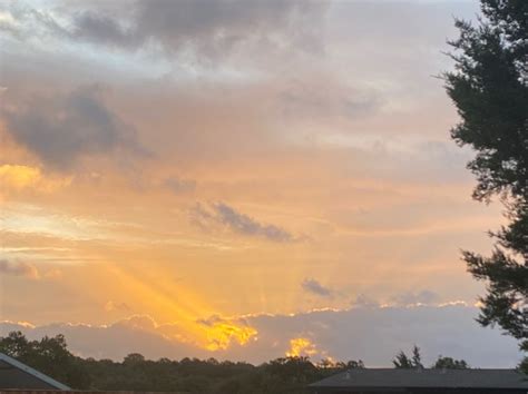 Education Leadership Georgeanne Warnock