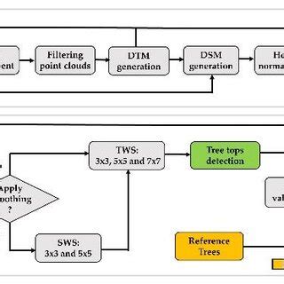 Workflow Of A Lidar Data Pre Processing And B Local Maxima Based Download Scientific Diagram
