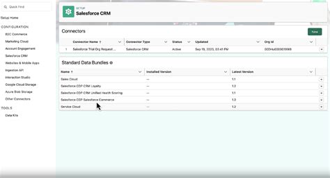 Salesforce Data Cloud Implementation Guide Fuel Business Growth