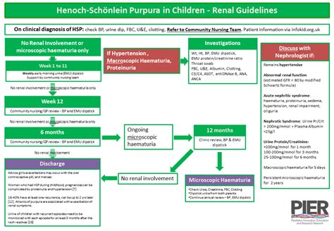 HSP Guideline PAEDIATRIC INNOVATION EDUCATION RESEARCH NETWORK