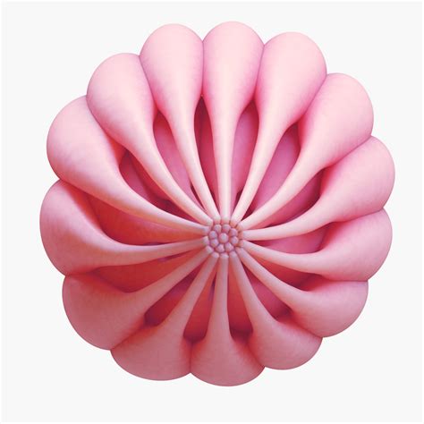 Mammary Gland Anatomy 3d Model By Zames1992d