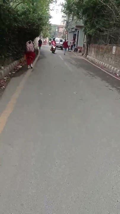 Shreego Songs😆😆 Youtube