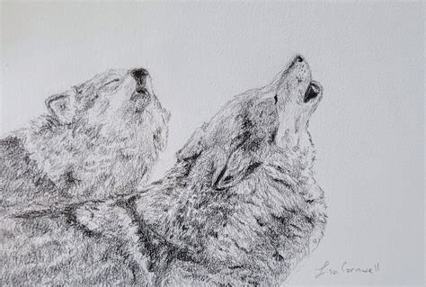 Pencil Drawings Of Wolves Howling