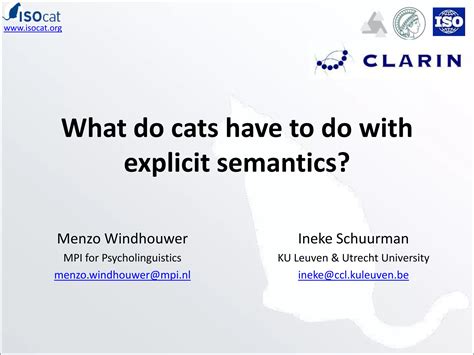 What Do Cats Have To Do With Explicit Semantics Ppt