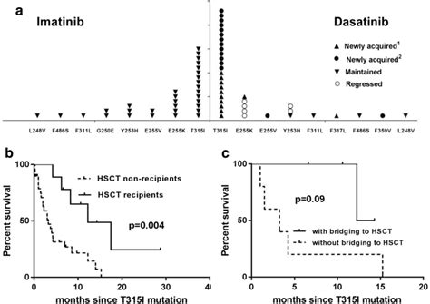 A Localization Of Bcr Abl1 Kinase Domain Mutations Detected At The Time Download Scientific