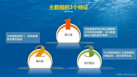 什么是主数据管理？一文理清主数据管理全流程！ Csdn博客