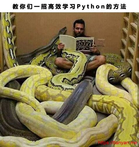 一些编程语言趣图 tlanyan