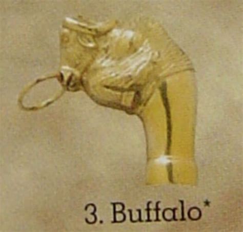 Cane ~ Walking Stick From Bull Sex Organ Buffalo Bras… Gem