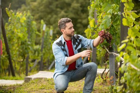 Wine Label Printers Tcs Digital Solutions Your Label Printer Partner