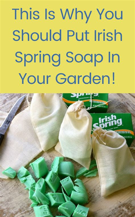 290 Gardner Gal Ideas Garden Projects Garden Landscaping Plants