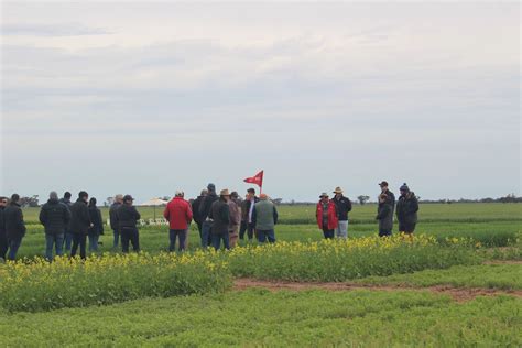 Bcg Main Field Day Birchip Cropping Group
