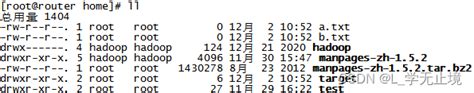 Linux使用gzip批量压缩某个文件夹下的文件gzip C Csdn博客