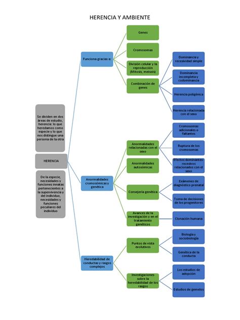 Herencia Y Ambiente Pdf Herencia Sexo