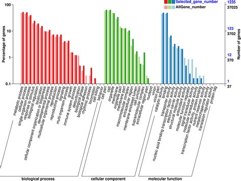 The Gene Ontology Analysis Of Identified And Predicted Mirna Target