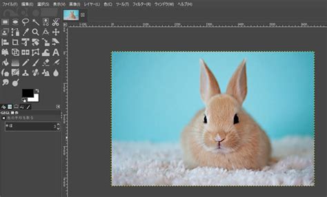 Gimp アンシャープマスクでピンボケの写真を補正する方法 Howpon ハウポン