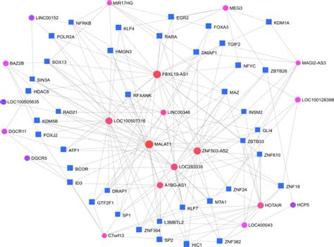 Network Analysis Of Long Non Coding Rna Expression Profiles In Common