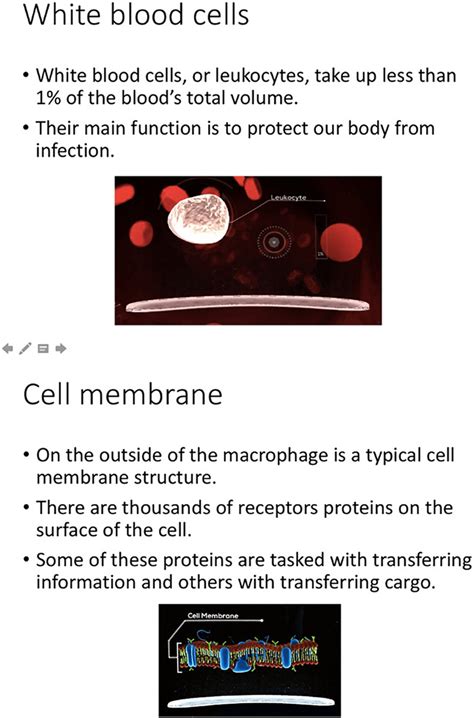 Powerpoint Adapted From The Body Vr Journey Inside A Cell Colour