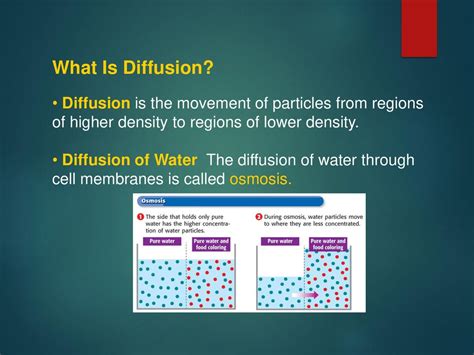 Chapter 4 Objectives Explain The Process Of Diffusion Ppt Download