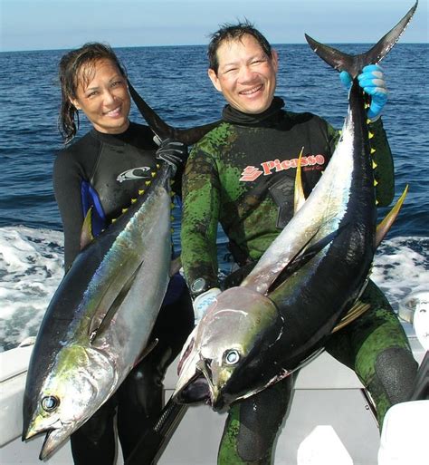 Pin By Bullbuster Brand Direct Inc On Tuna Fishing Tuna Fishing Fishing Pictures Walleye