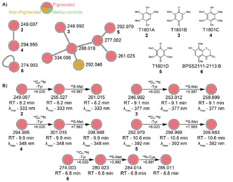 a molecular network representation of molecular clusters containing