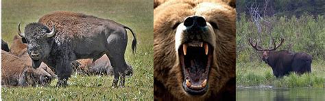 Species Endangerment Strategic Research Priorities Water And