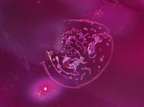 Trade Alert Chromium Surface Diffusion Treated “ruby” Sold In Bangkok