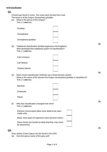 Classification Teaching Resources