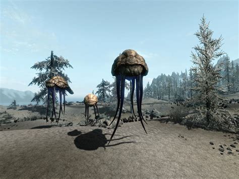 Skyrimnetch The Unofficial Elder Scrolls Pages Uesp