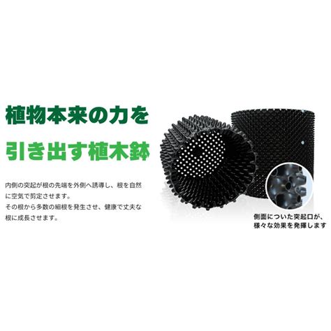【5個組】 Rootplus ルートプラスポット ガーデニング 植木鉢 植物 栽培 造園 南栄工業 Nan A 黒 Gs Ap300s 18l