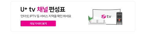 인터넷 Tv 휴대폰 같이하면 현금 최대 100만원 혜택