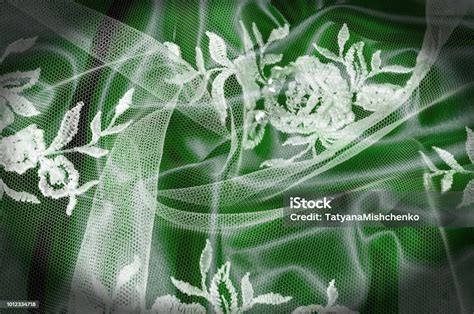 텍스처 배경 패턴입니다 레이스 화이트 패브릭입니다 꽃 레이스 직물입니다 실크 직물의 녹색 배경입니다 인사말 카드입니다 바탕 화면에 배경 화면입니다 디자이너에 대 한 화면