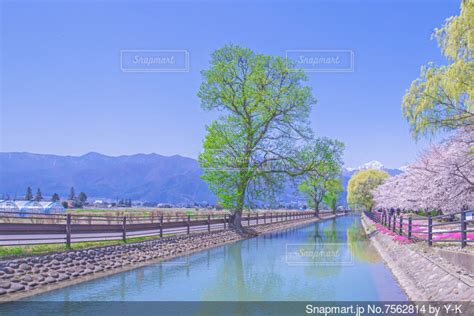 【信州 安曇野】春の訪れ、北アルプスと田園風景が織りなす日本の原風景の写真・画像素材[7562814] Snapmart（スナップマート）