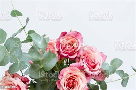 꽃 조성 물 장미 꽃과 흰색 배경에 분기 유칼립투스 평면도 복사 공간 이미지 0명에 대한 스톡 사진 및 기타 이미지 0명