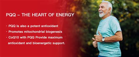 Quinovit Coq10 200mg With Pqq And Shilajit High Absorption