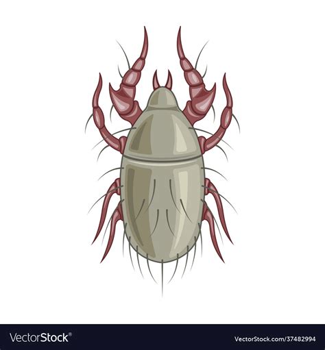 Parasites Iconcartoon Icon Isolated Royalty Free Vector