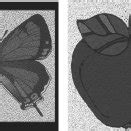 Fourier Transforming Of The Final OSP From Eq 2 Showing The