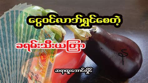 ငွေဝင်လာဘ်ရွှင်စေတဲ့ ခရမ်းသီးယတြာ Youtube